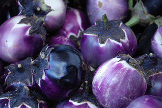 Aubergine Ronde Violette - Cod. 7741